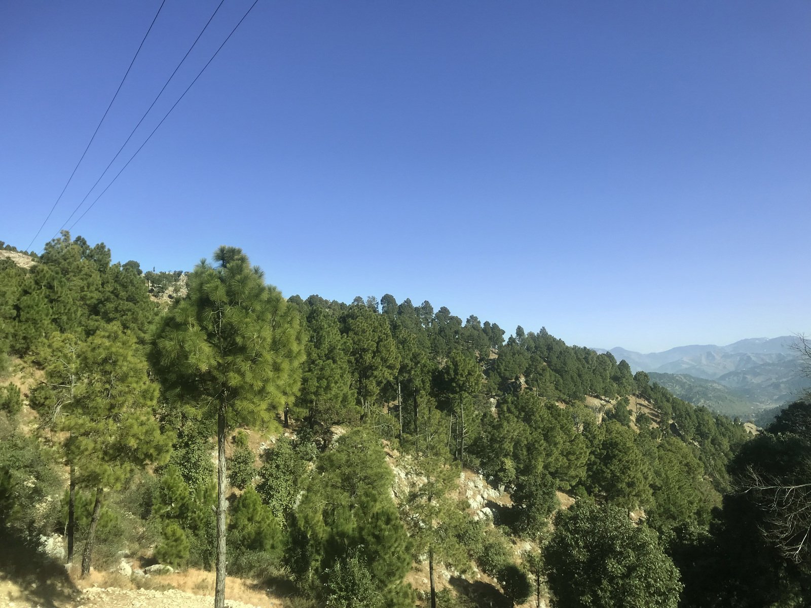 Margalla Hills National Park Tour with FlyVour - FlyVour